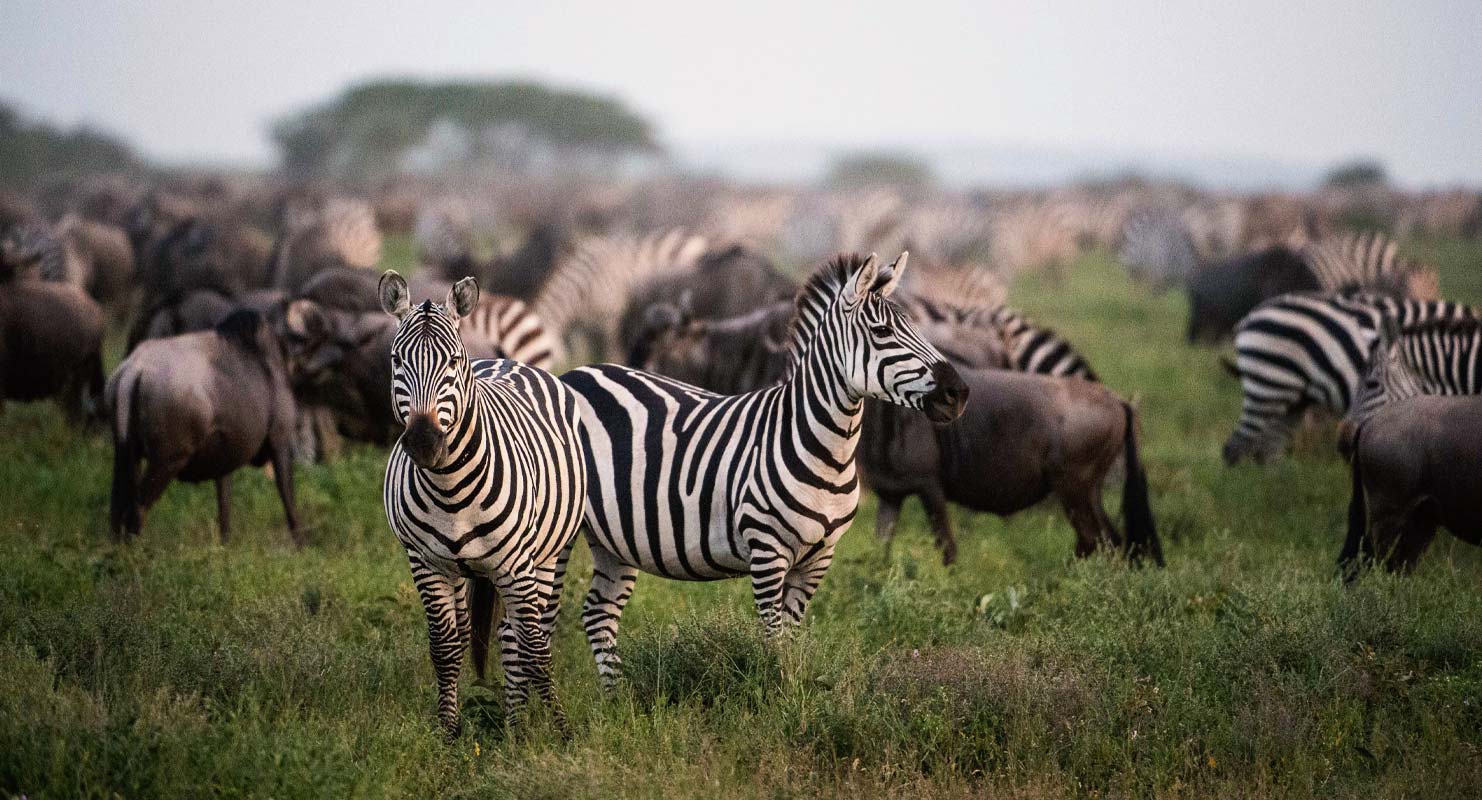 Destinations - Enjolet Africa Safari